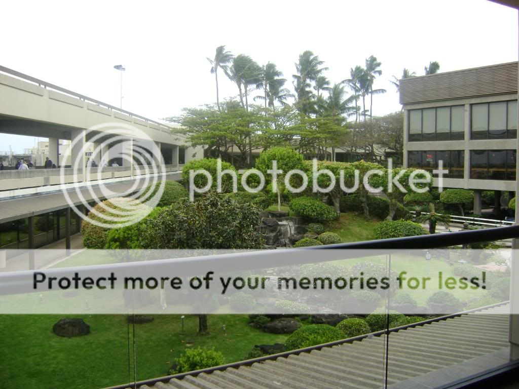 Spring Break: MSP-HNL, HNL-MSP Many Pics PT2 - Airliners.net
