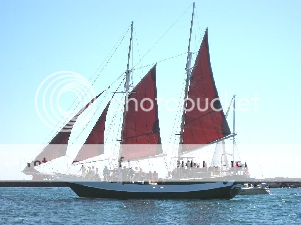 Introducing: The Spirit of Buffalo | SailNet Community